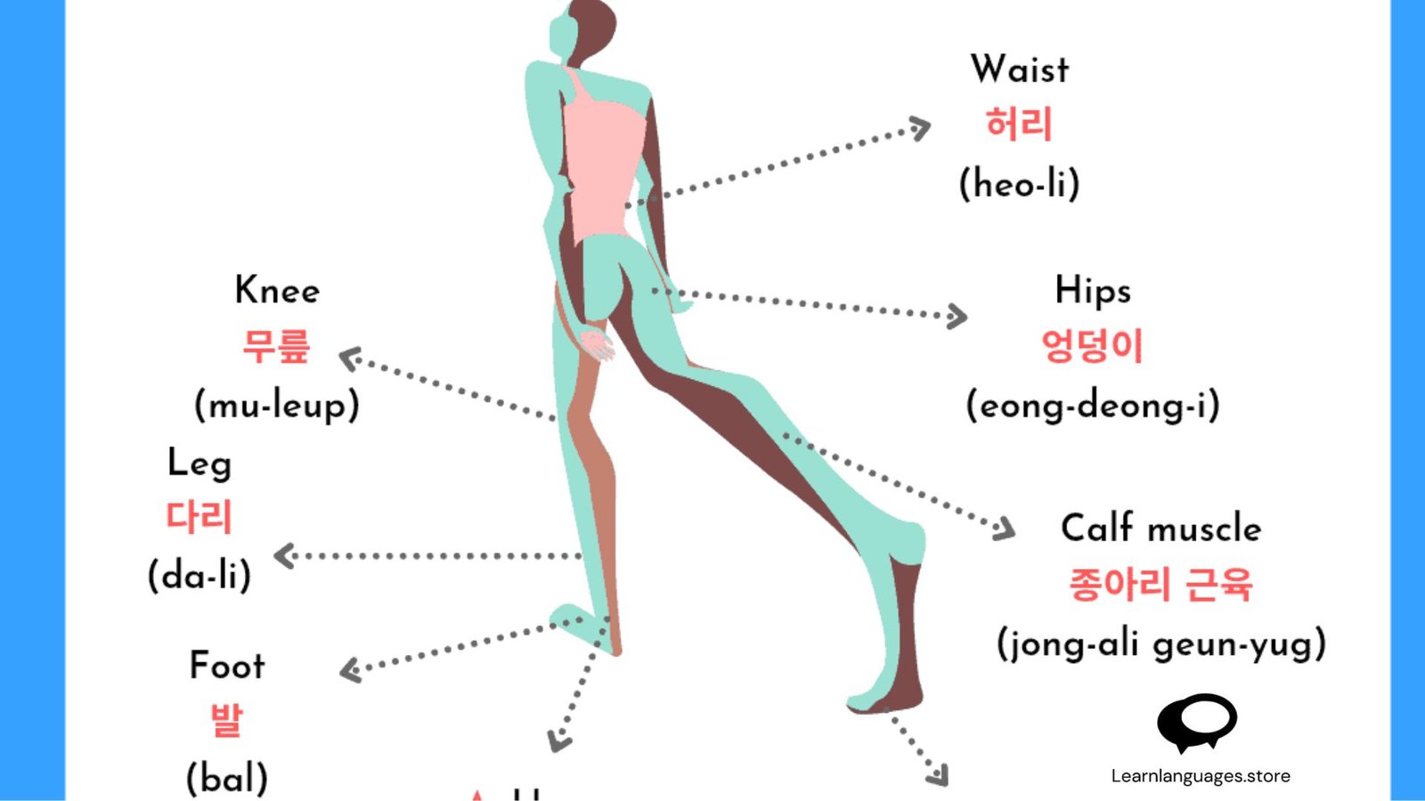20 Must-know Body Parts in Korean Language: From Head to Toe - Learn ...